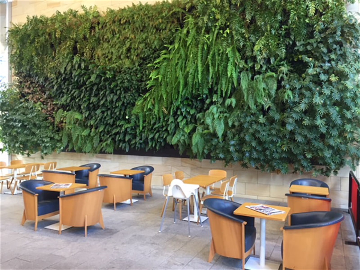 Cafe Bold Park Aquatic Centre